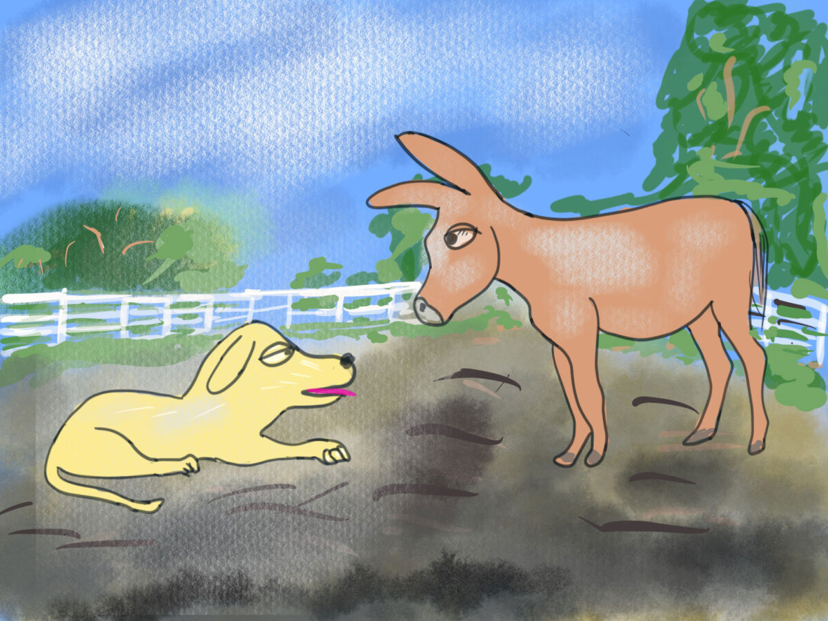 The Town Musicians of Bremen | Storynory