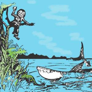 The Monkey and the Shark | Storynory