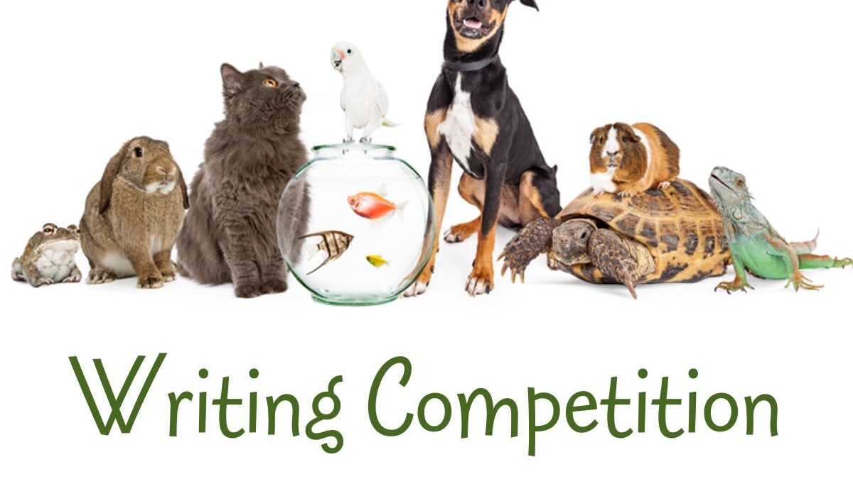 Pet Writing Competition | Storynory